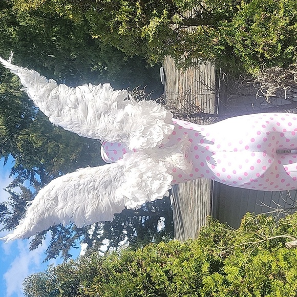 Victoria's Secret | Other | Rare Htf Victoria Secret Super Model Wings ...